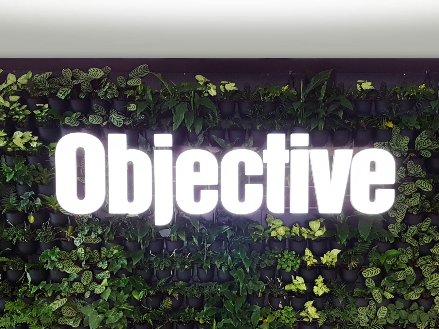 Illuminated Signs, Light Boxes, Light Up Letters - Signkiosk Signs Sydney